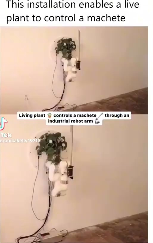 This installation enables a live plant to control a machete Living ...