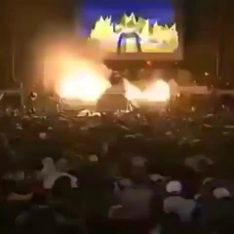 Wally & Jack on Instagram: “Woah woah woah... #dankmemes # ...