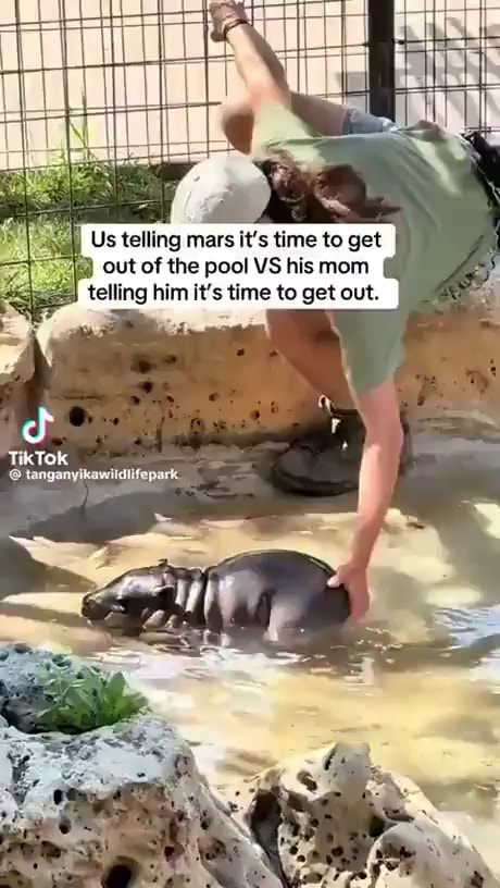 Us telling mars it's time to get out of the pool VS his mom him it's ...