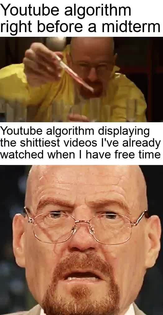 Youtube Algorithm Right Before A Midterm Youtube Algorithm Displaying
