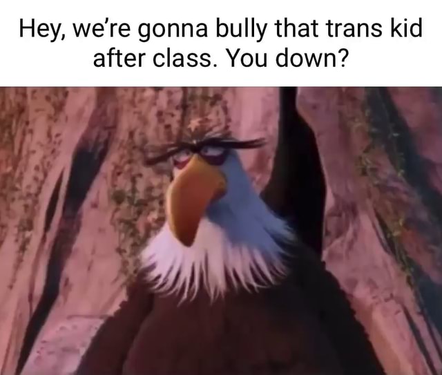 Hey, we're gonna bully that trans kid after class. You down? - iFunny