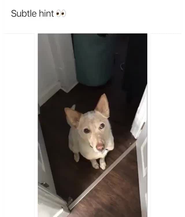 Subtle hint - - - iFunny