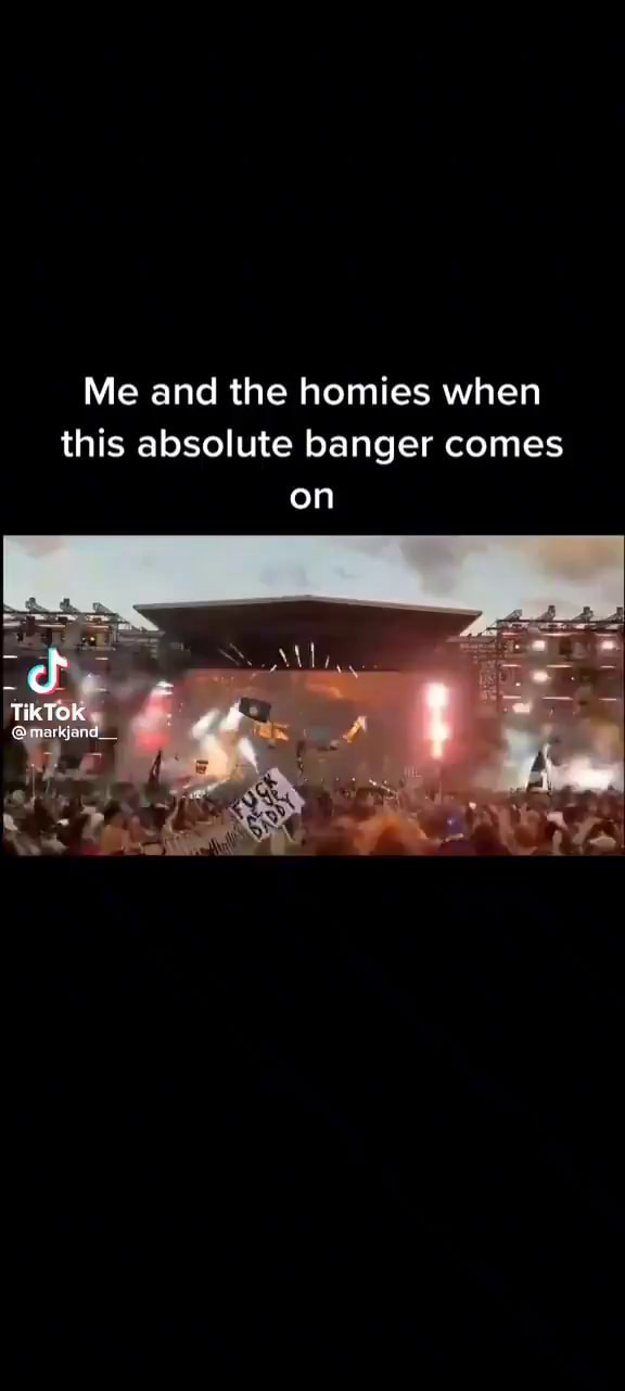 Me and the homies when this absolute banger comes TikTok on fe - iFunny