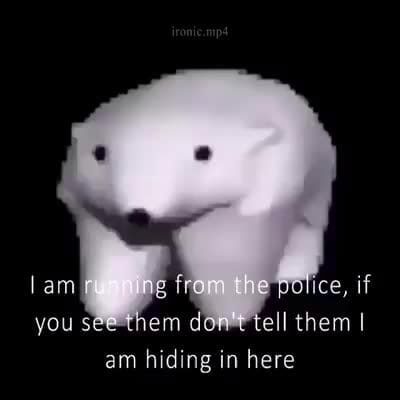 Am hiding in here - iFunny