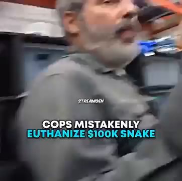 Ad COPS MISTAKENLY EUTHANIZE $100K SNAKE - iFunny