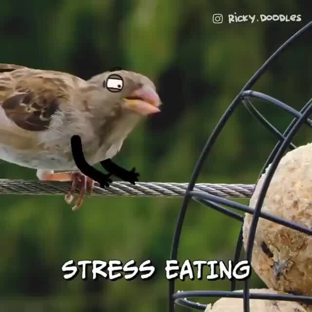 @ricky.doodles on IG - Ricky. DoopLes STRESS EATING - iFunny