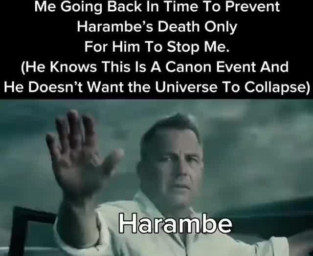 Me Going Back In Time To Prevent Harambe's Death Only For Him To Stop ...