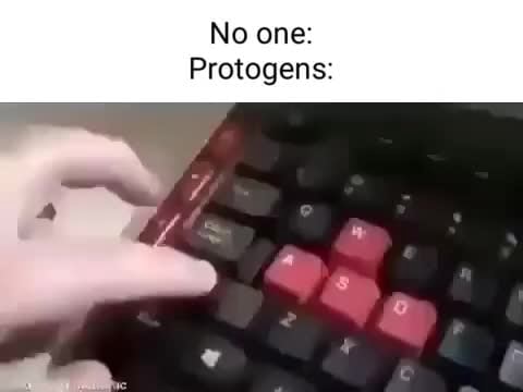 No one: Protogens: - iFunny