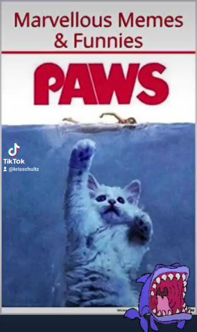 Marvellous Memes Funnies TikTok @krisschultz - iFunny