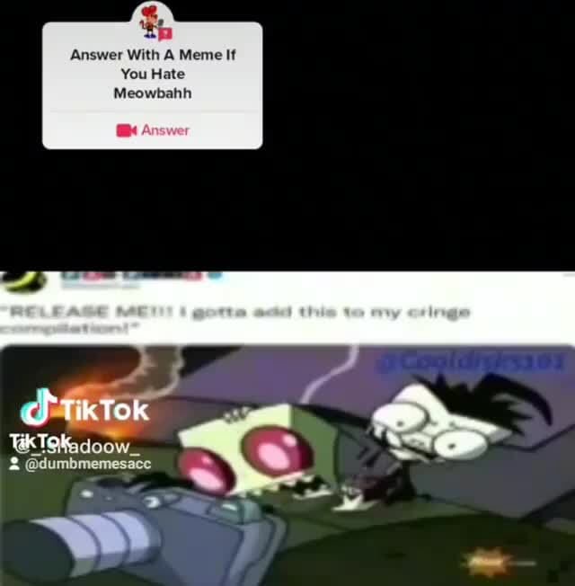 'tb Answer With A Meme If You Hate Meowbahh @dumbmemesace - iFunny