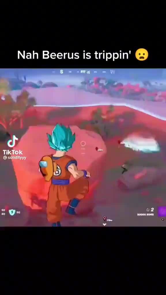 Nah Beerus is trippin' of TikTow - iFunny