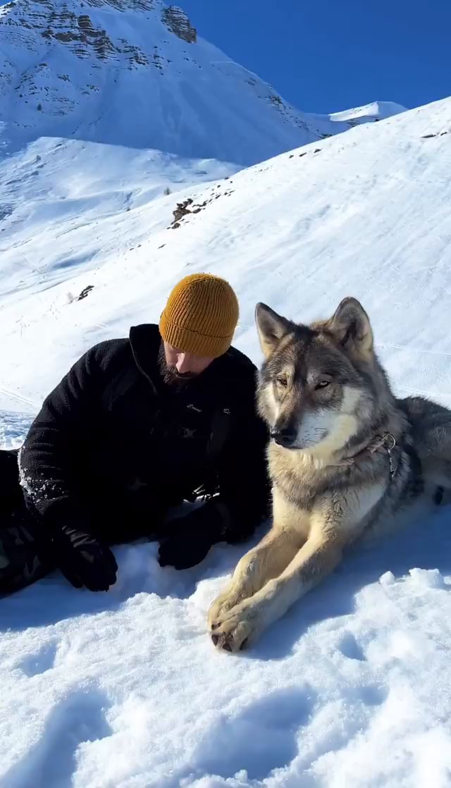 Video memes Rc2o1ixJA by THE_PSYCHO_WOLF_: 1 comment - iFunny