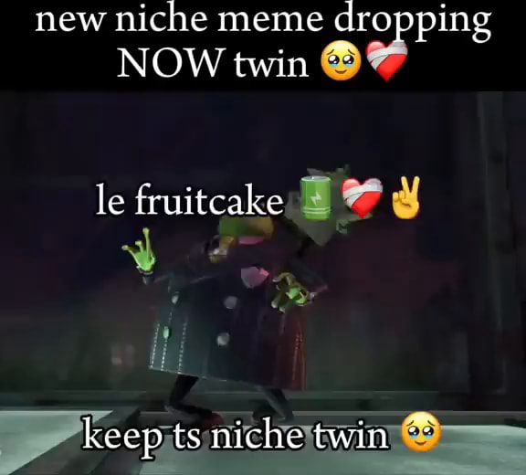New niche meme dropping NOW twin le fruitcake keep ts niche twin - iFunny