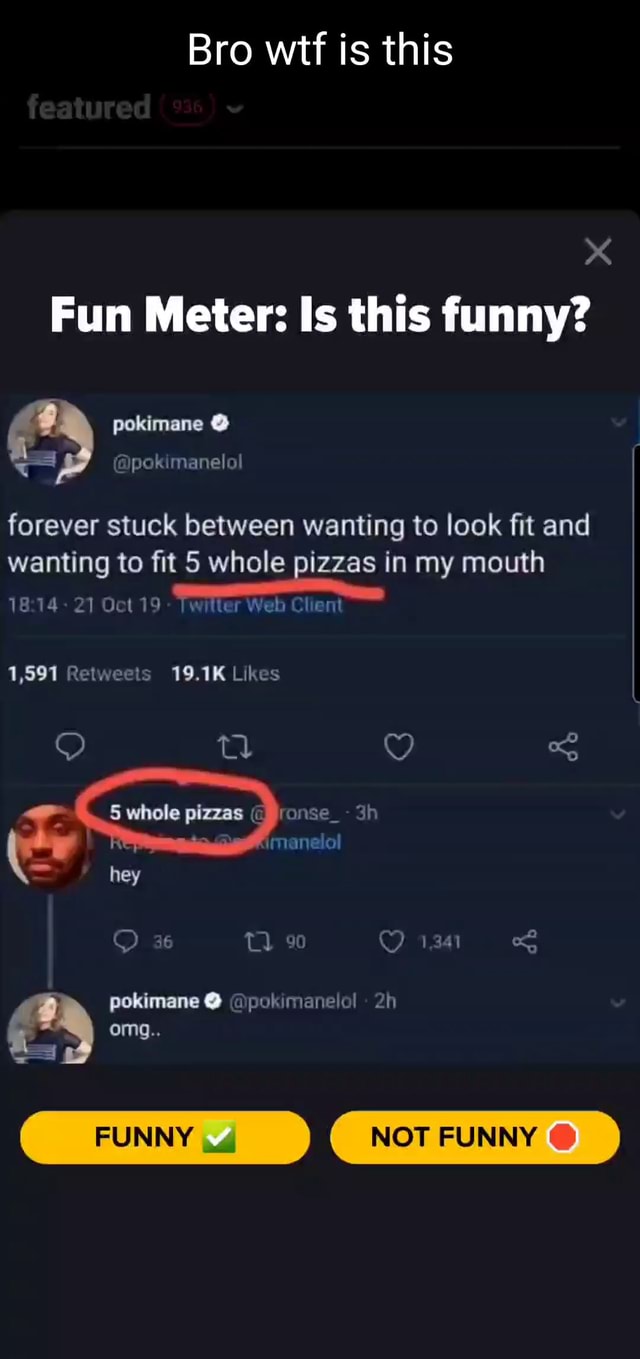 Bro wtf is this Fun Meter: Is this funny? pokimane forever stuck ...