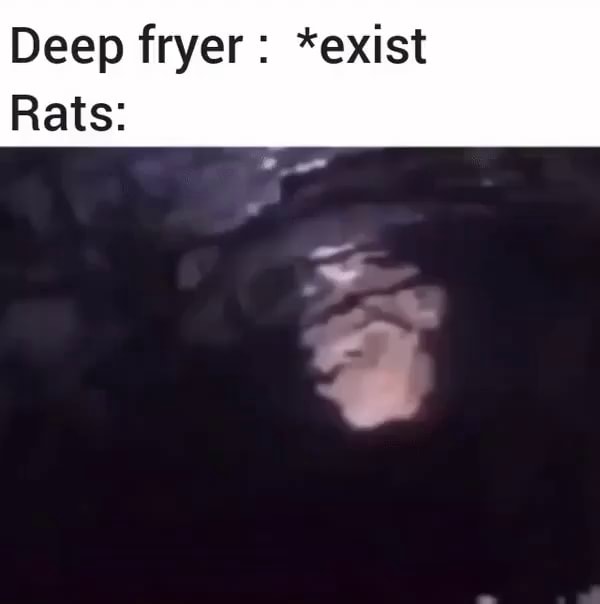 Deep fryer: *exist Rats: - iFunny