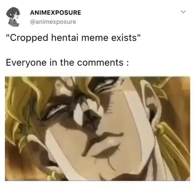 "Cropped hentai meme exists" Everyone in the comments : - iFunny