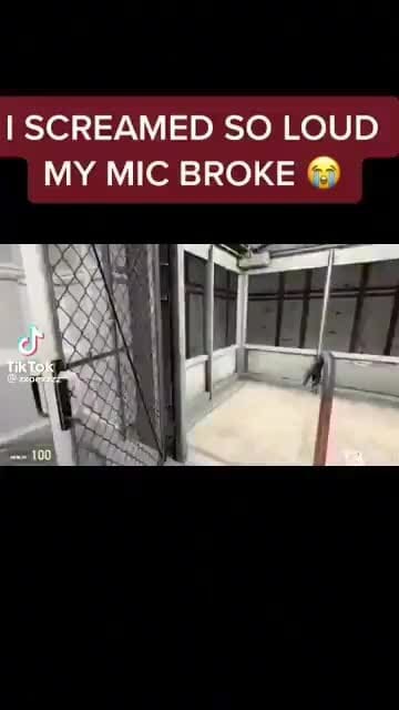 SCREAMED SO LOUD MY MIC BROKE - iFunny