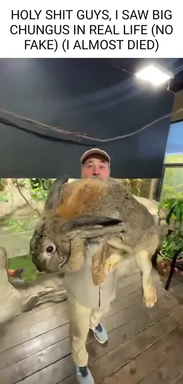 HOLY SHIT GUYS, I SAW BIG CHUNGUS IN REAL LIFE (NO FAKE) ALMOST DIED ...