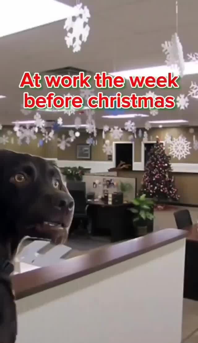 Attworkthe week before christmas; - iFunny