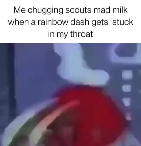 Me chugging scouts mad milk when a rainbow dash gets stuck in my throat ...