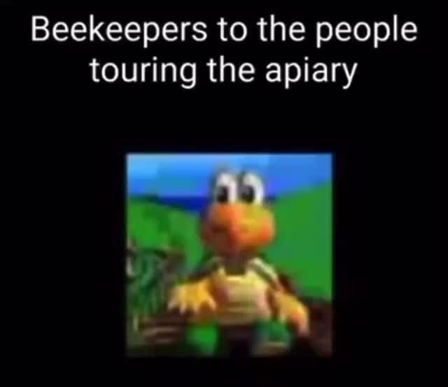 Beekeepers to the people touring the apiary - iFunny