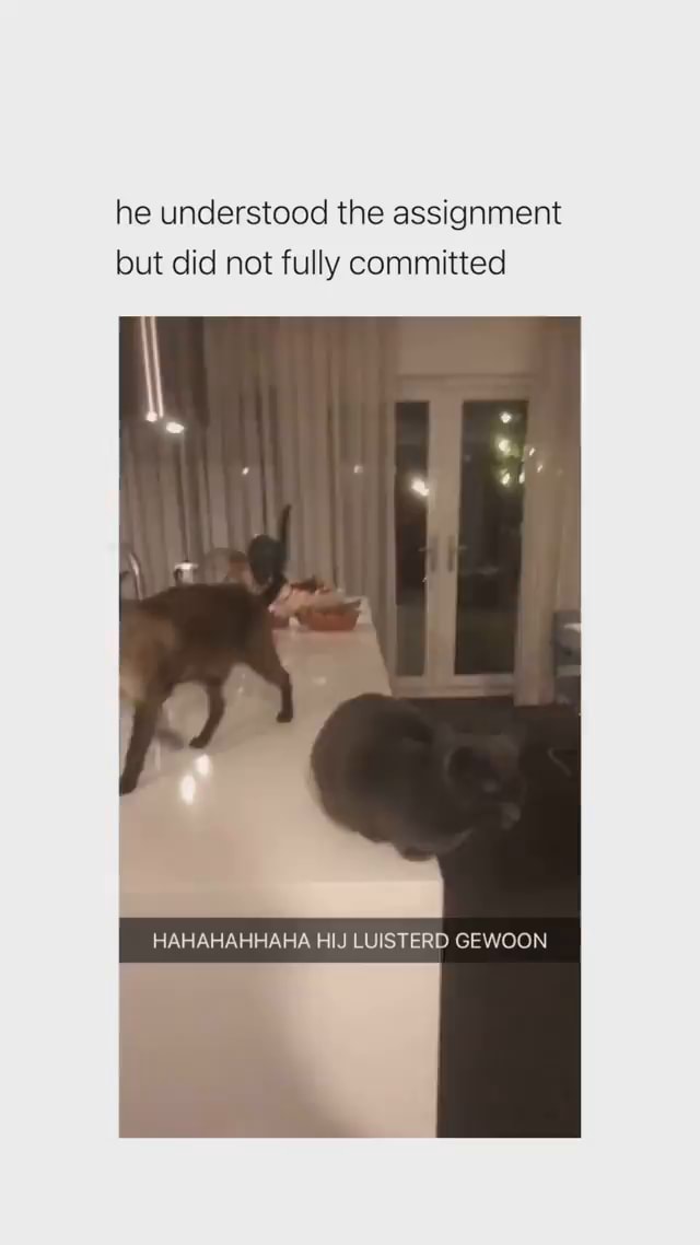 He understood the assignment but did not fully committed HAHAHAHHAHA ...