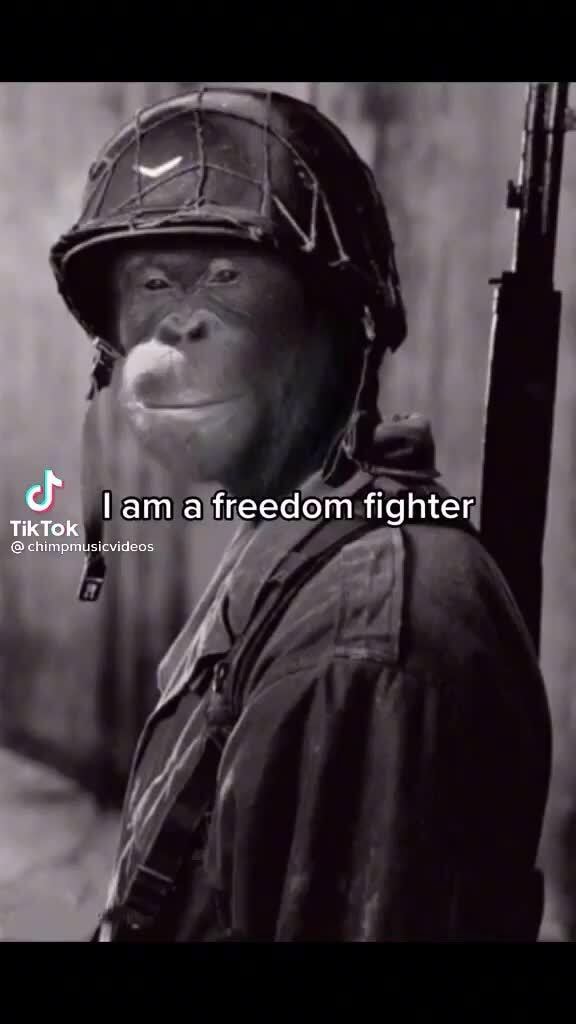 (am a freedom fighter TikTok fcclmpmustewae os - iFunny