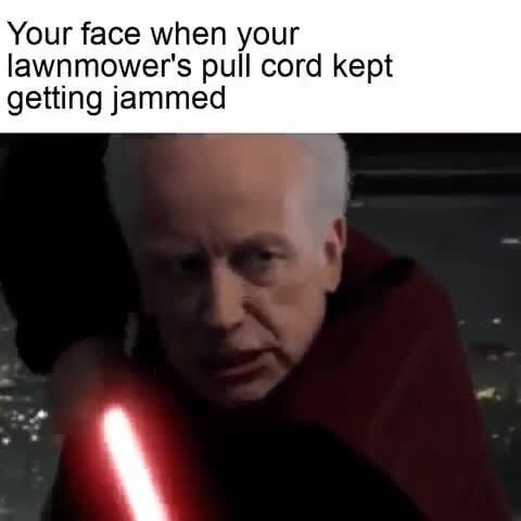 Your face when your lawnmower's pull cord kept getting jammed - iFunny
