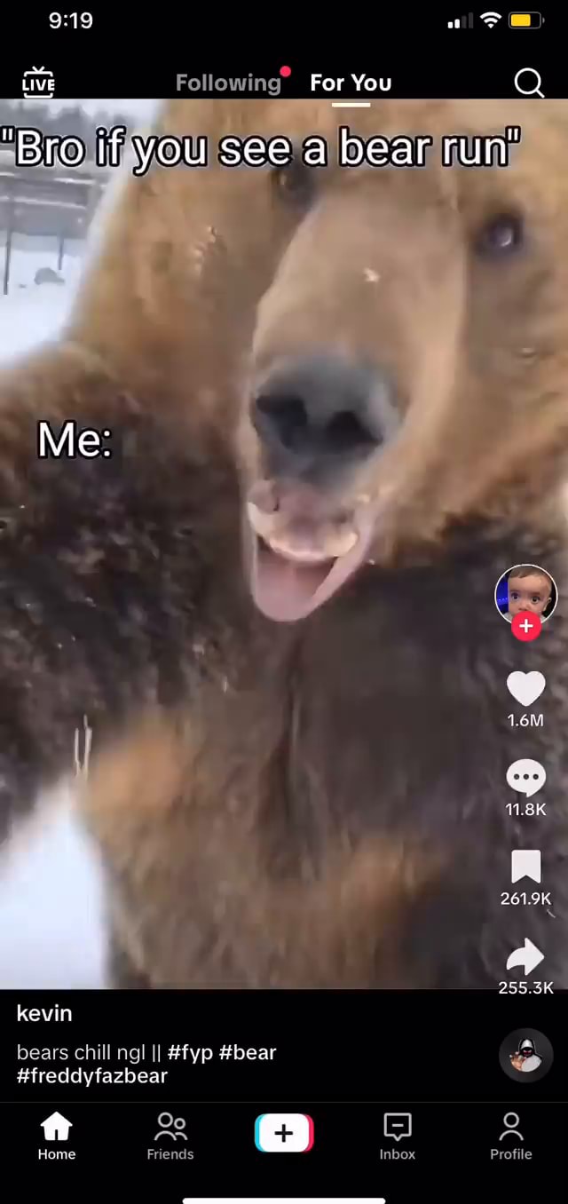 For You LiVE "Bro if you see a bear run' Me: kevin #iyp #bear # ...