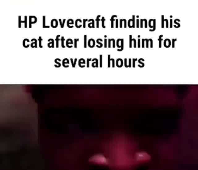 HP Lovecraft finding his cat after losing him for several hours - iFunny