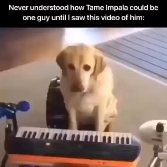 Never understood how Tame Impala could be one guy until I saw this ...