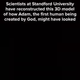 Scientists at Standford University have reconstructed this model of how ...