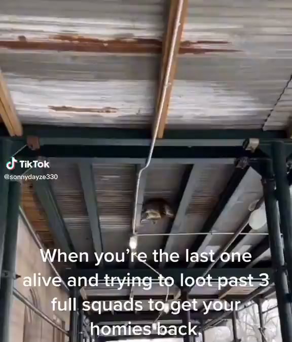 TikTok phase When yourre the last one alive and trying to loot past 3 ...
