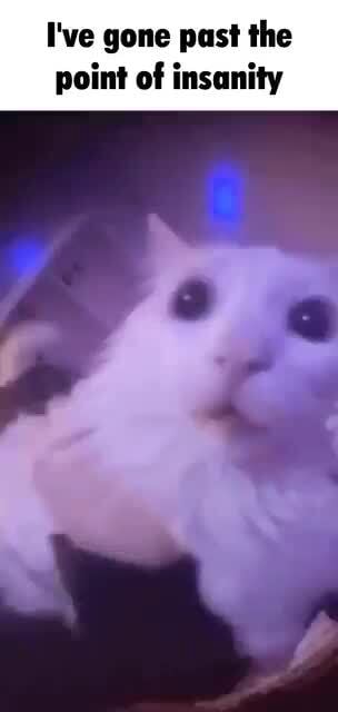 I've gone past the point of insanity - iFunny