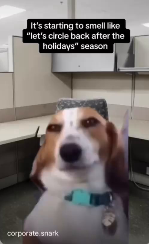 It's starting to smell like "let's circle back after the holidays ...