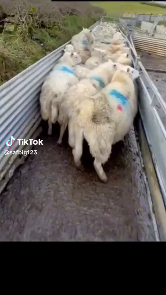 Thursday Dump... 😝🙋🏽‍♀️😝 - iFunny