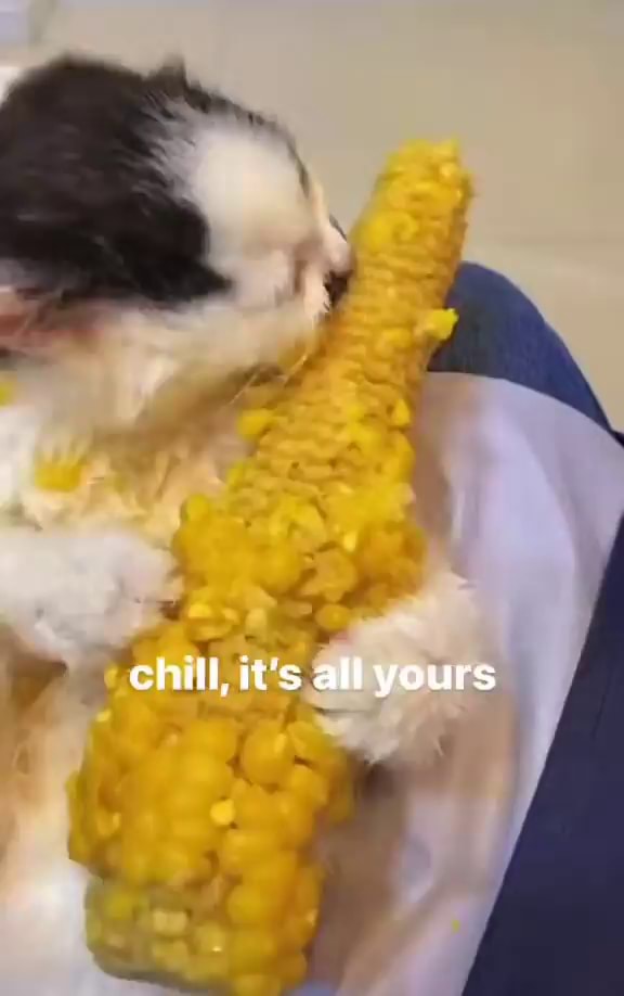Chill Its All Yours Ifunny