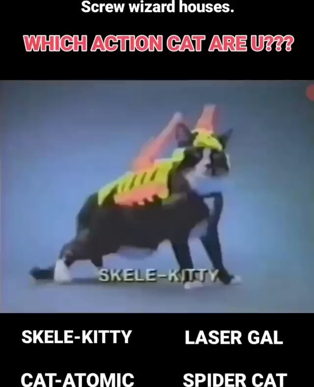 Screw wizard houses. ACTION GAT ARE SKELE-KITTY LASER GAL CAT-ATOMIC ...