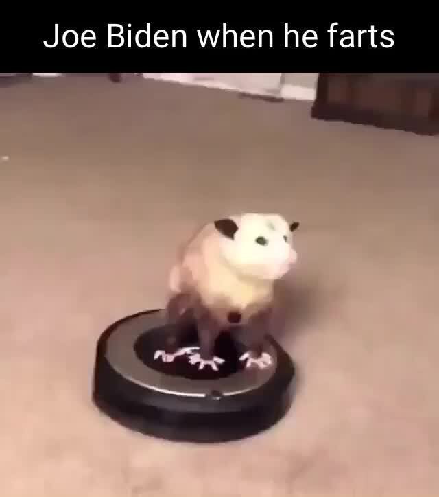 Joe Biden when he farts - iFunny