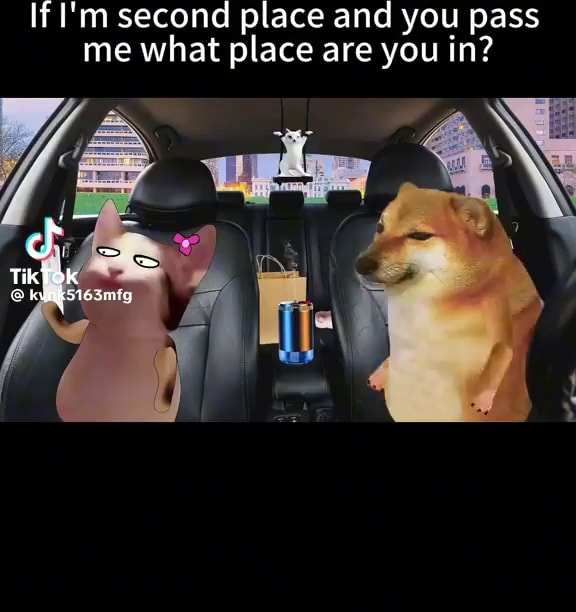 If I'm second place and you pass me what place are you in? - iFunny
