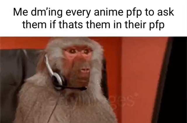 Me dimming every anime pfp to ask them if thats them in their pfp - iFunny