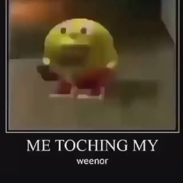 Salsa Memes on Instagram: “Weenor time” - ME TOCHING MY weenor - iFunny