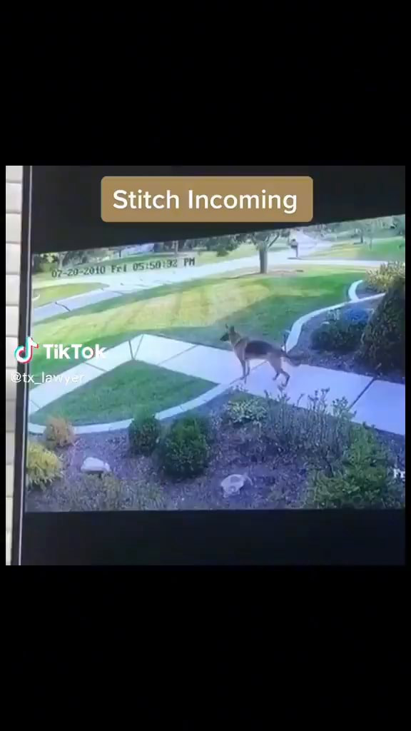 Stitch Incoming TikTok - iFunny