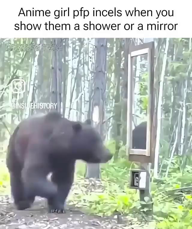 Anime girl pfp incels when you show them a shower or a mirror - iFunny