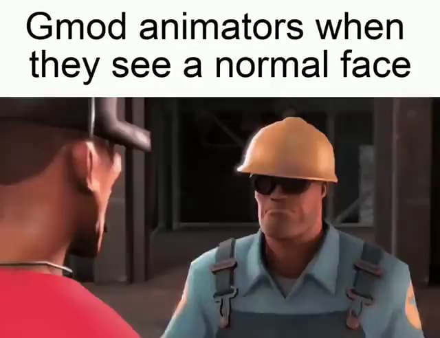 Gmod animators when they see a normal face - iFunny