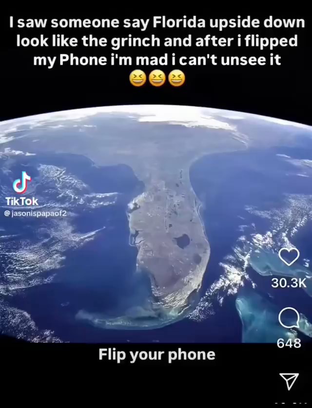 Saw someone say Florida upside down look like the grinch and after i ...