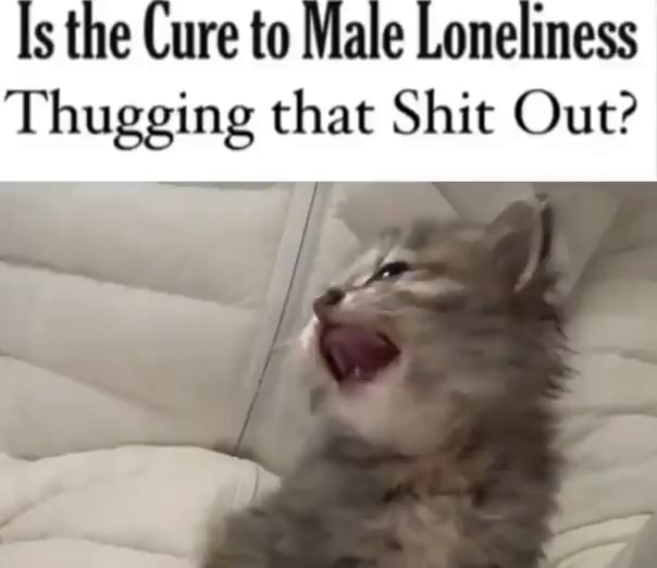Is the Cure to Male Loneliness Thugging that Shit Out? - iFunny