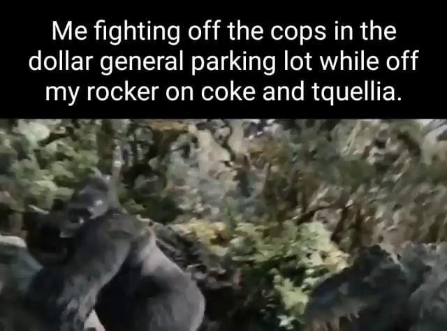 Me fighting off the cops in the dollar general parking lot while off my ...