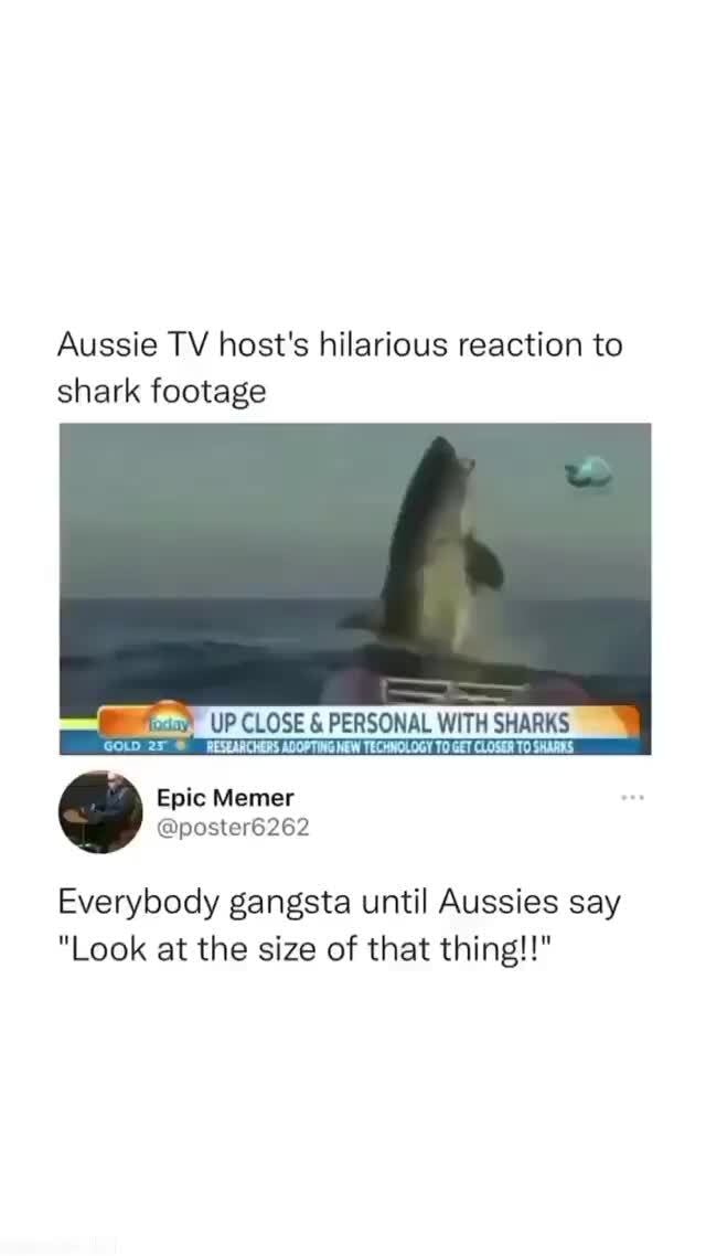 Aussie TV host's hilarious reaction to shark footage UP CLOSE ...