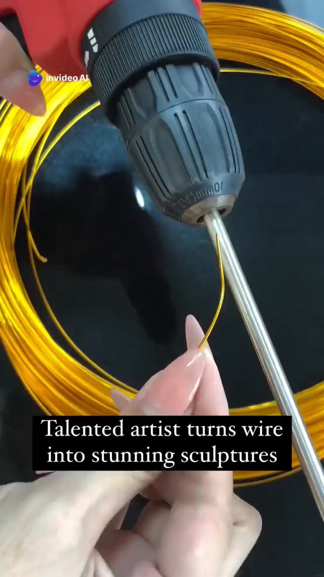 SS Talented artist turns wire I into stunning sculptures IW - iFunny